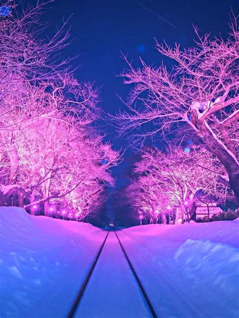 青森芦野公園と津軽鉄道 Ancient chinese clothing Pretty lights Ancient