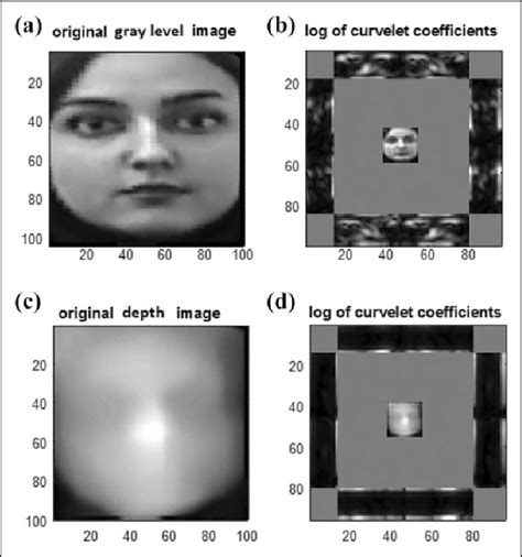 original gray level of a sample image in the database a its