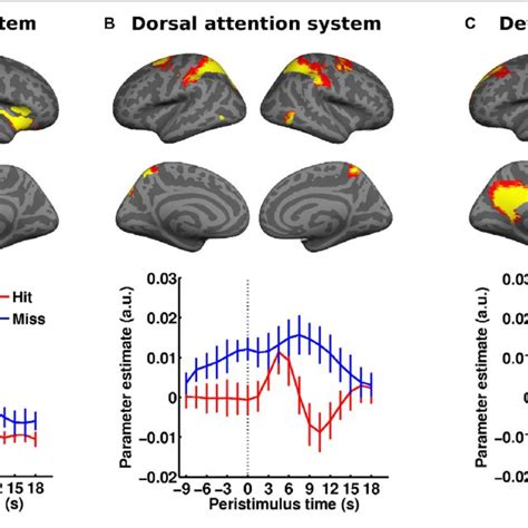 Pdf The Relation Of Ongoing Brain Activity Evoked Neural Responses