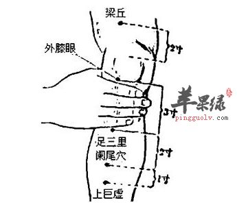 阑尾针灸部位图片 胆囊炎针灸哪个位置图 伤感说说吧