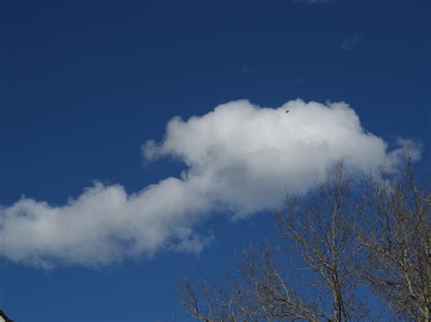 Head In The Clouds Dick Mackenzie