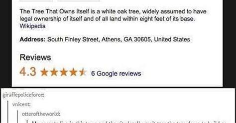 Youre Your Own Tree Tree Album On Imgur