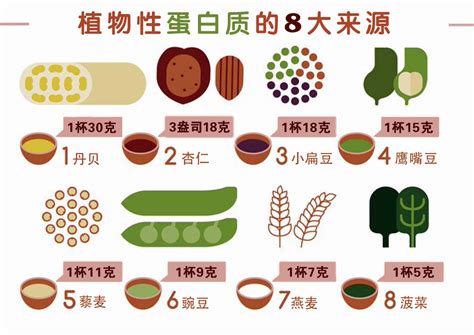 27 July 2023 Plant based protein 槟城消费者协会