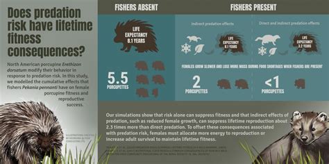 Citizen Science Shows How Predation Risk Effects Can Reduce Lifetime Fitness Oikos Journal