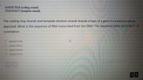 Solved Aatgctga Coding Strand Ttacgact Template Strand