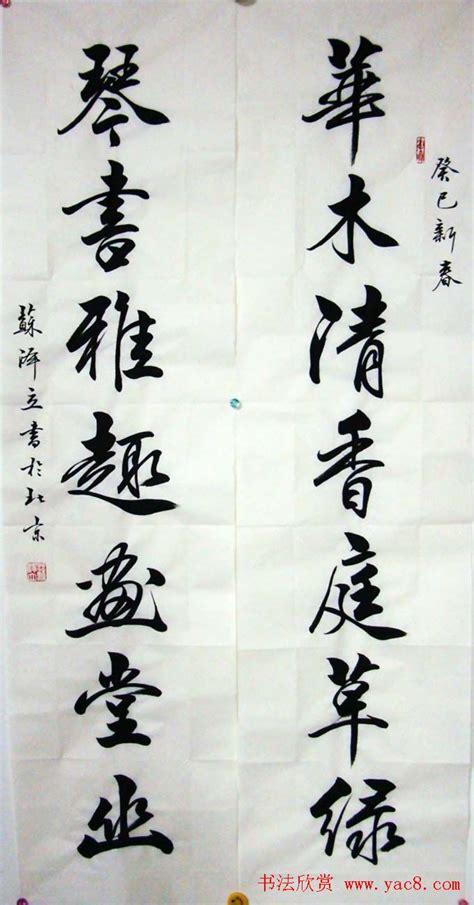 苏泽立书法行书作品欣赏 第3页 毛笔书法 书法欣赏