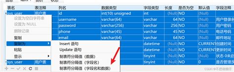 导出mysql数据项到excel及数据错位的解决办法navicat复制的数据错位 Csdn博客