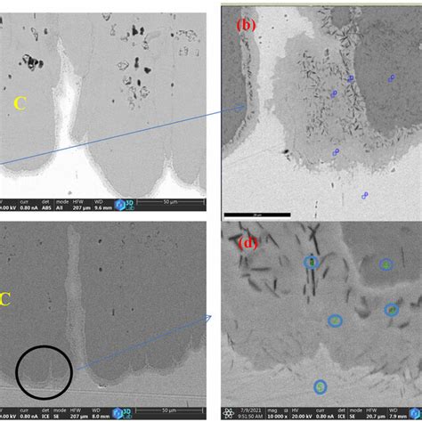 PFIB SEM Images Showing The Structure That Appears At The Interface Download Scientific Diagram