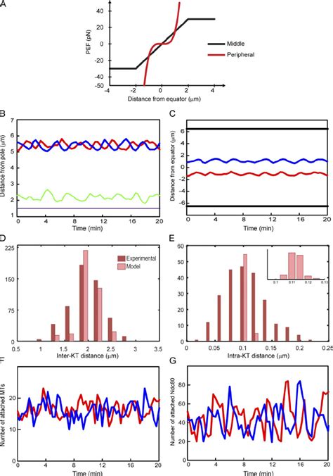 A Nonlinear Distribution Of Pefs Can Suppress The Oscillations Of Download Scientific Diagram