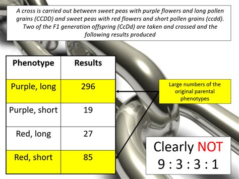Autosomal Linkage Cie International A Level Biology Teaching Resources