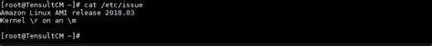 Installing Lamp In Multiple Remote Hosts Using Ansible Playbook