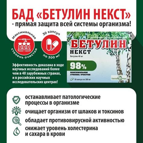 Биологически активная добавка "Бетулин Некст", 30 капсул по 300 мг ...