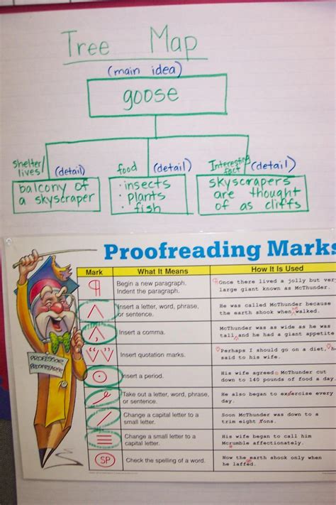 Tree Map Thinking Maps Tree Map Sheltered Life