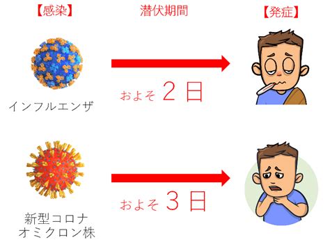 新型コロナとインフルエンザ 今冬に備えて