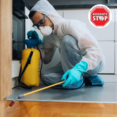 Smoke Testing For Rodents How It Works