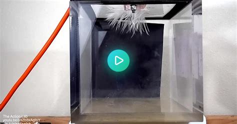 dropping a feather and a metal cube in a vacuum in the absence of air