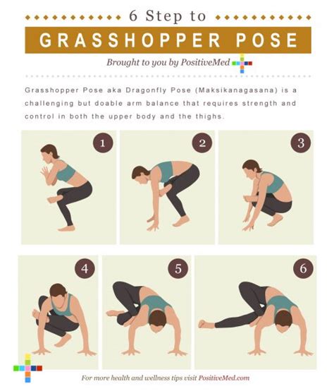 6 Steps To Grasshopper Pose Maksikanagasana Positivemed