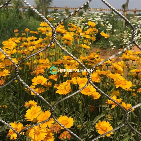 Garden Netting Garden Protect With Stainless Steel Wire Rope Mesh