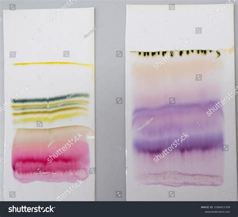 Result Thin Layer Chromatography Laboratory Stock Photo Shutterstock