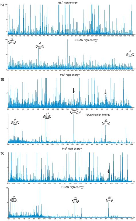 A Comprehensive Approach For Hcp Identification Quantification And Monitoring Based On A