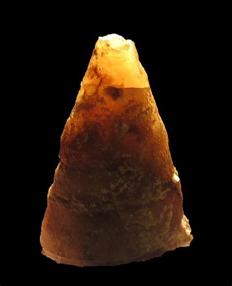 Quartz Var Agatized Fossil Gastropod Assa Morocco