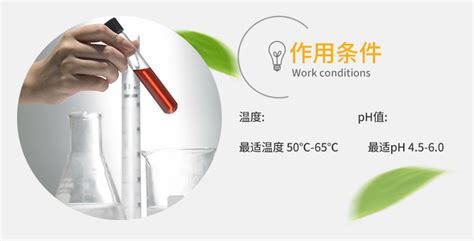 夏盛 食品级真菌α 淀粉酶 FDY 2247 酶制剂应用 酶制剂 夏盛集团中国酶制剂领军品牌TOP1酶制剂生产厂家