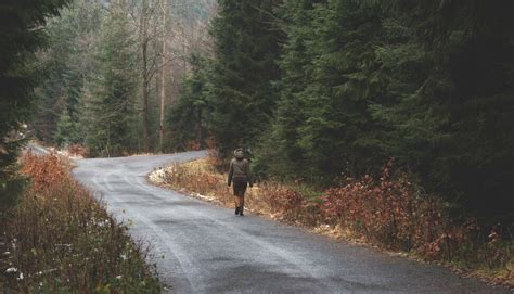 Woman Alone In The Woods Copyright Free Photo By M Vorel Libreshot