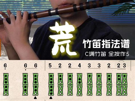 荒竹笛洞洞谱 哔哩哔哩
