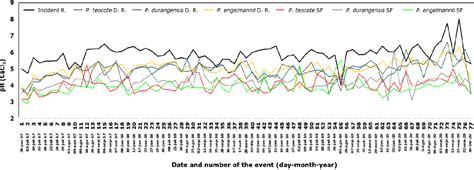 Figure 1 From Water Losses From Rainfall Interception In A Fragment Of A Mixed Forest In The