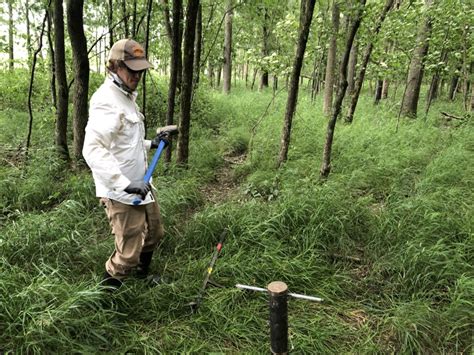 Restored Wetland Nutrient Retention Murdock Lab