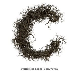 970 Tree Root Font Images Stock Photos Vectors Shutterstock