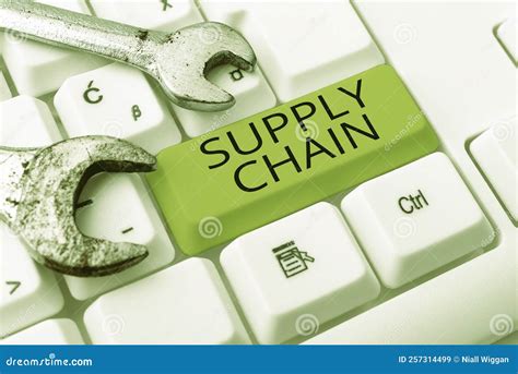 Conceptual Caption Supply Chain Business Showcase System Of Organization And Processes From