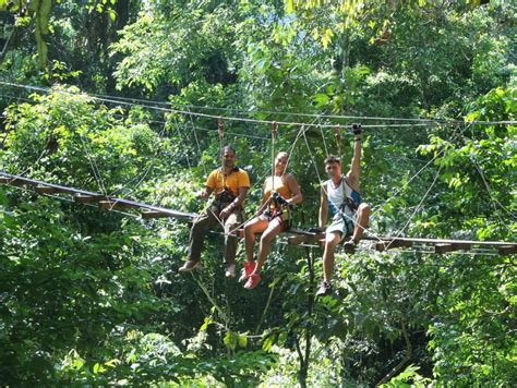 Unleash Your Inner Explorer At The TreeTop Adventure Park