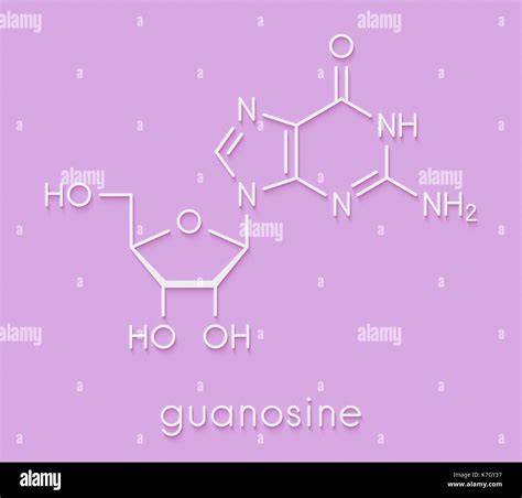 Guanosine Purine Nucleoside Molecule Important Component Of Gtp Gdp Cgmp Gmp And Rna