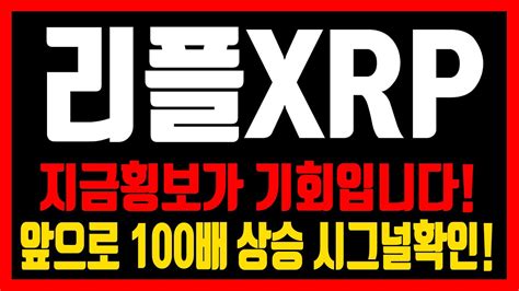 리플 지금횡보가 기회입니다 앞으로 100배 상승 시그널확인 Youtube