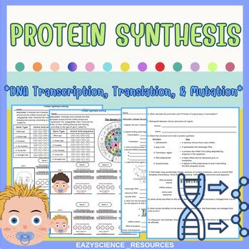 PROTEIN SYNTHESIS ACTIVITY Print Digital By EazyScienceResources