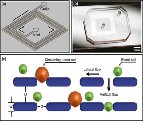 Working Of Microfluidic Chip Conclusion 1 Microfluidic Chip Is Highly Download Scientific