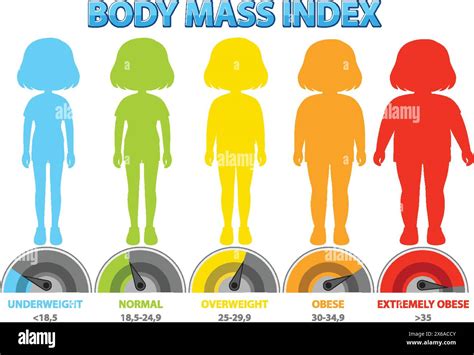 Illustration Of Bmi Categories And Ranges Stock Vector Image And Art Alamy
