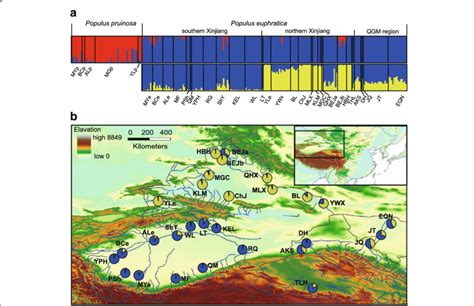 Bayesian Estimation Of The Proportion Of Genetic Clusters For Each