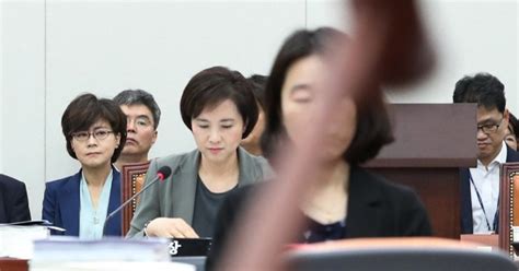 교육위 전체회의 출석한 유은혜 부총리