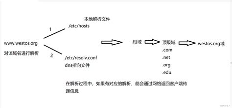 linux学习笔记——关于dns中高速缓存、正反向及双向解析、辅助dns等企业dns服务器的搭建实验 linux dns nxdomain