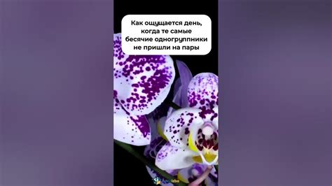 Жизненно🤭 студизба мем юмор студент одногруппники вуз Youtube