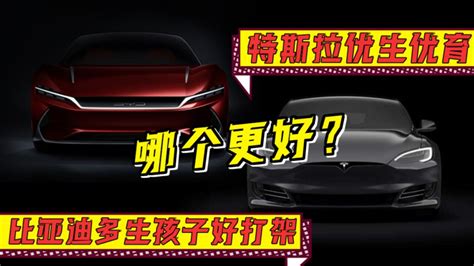 特斯拉优生优育，比亚迪多生孩子好打架，那个更好？腾讯视频