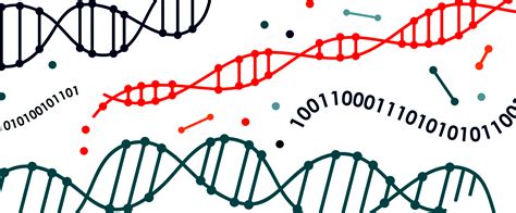 Genetic Algorithms James Kitchens