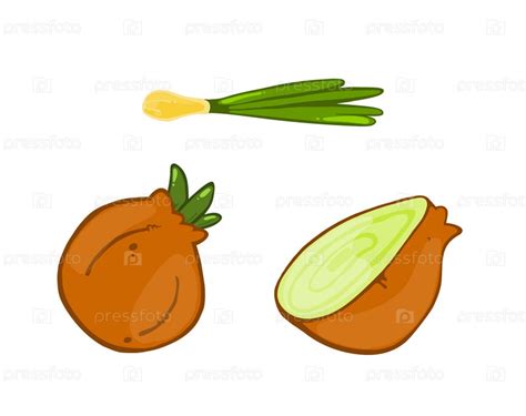 Фотография на тему Нарисованные овощи Pressfoto