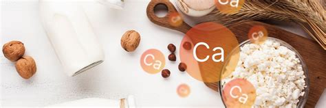 Кальций для кошек: источники, нормы и содержание при натуральном ...