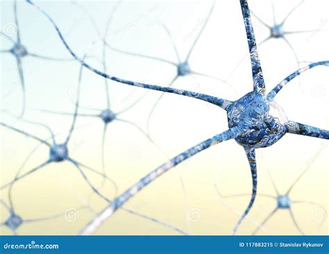 Neuron Neural Network Nerve Node Stock Illustration Illustration