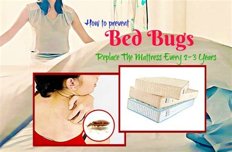 Tips How To Prevent Bed Bugs Bites At Home And When Travelling