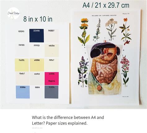 What Is The Difference Between A4 And Letter Paper Sizes Explained