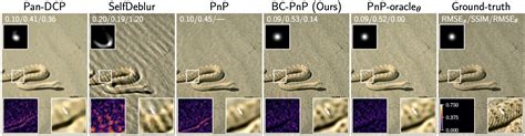 Block Coordinate Plug And Play Methods For Blind Inverse Problems